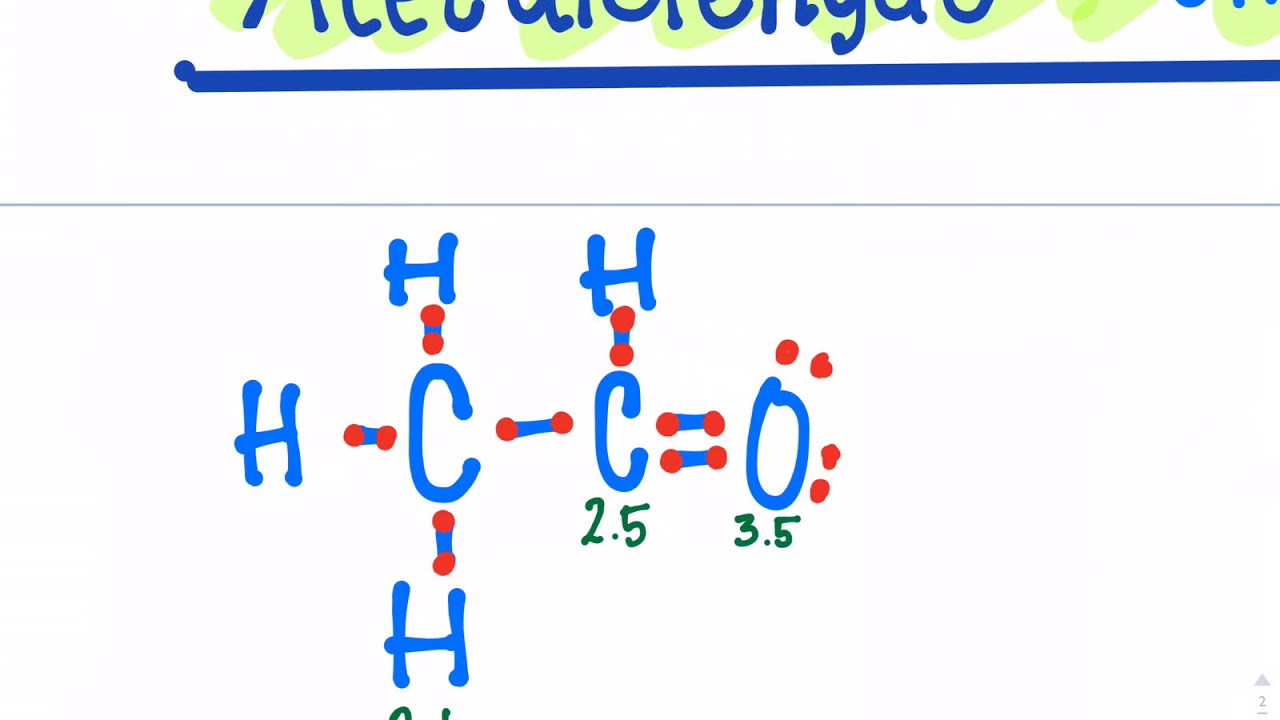 IMF UNIT: Molecular Analysis for IMF lab - YouTube