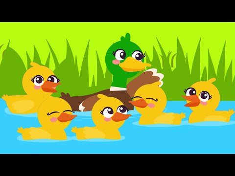 5 Küçük Ördek - En Güzel Hayvanlı Şarkılar - Saymayı Öğrenelim