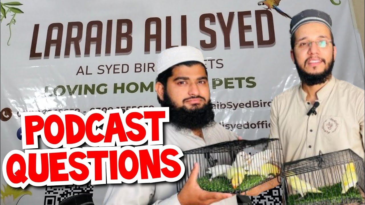 Podcast Questions | Laraib ali syed | Lovebirds itna kaha se ata hai ...