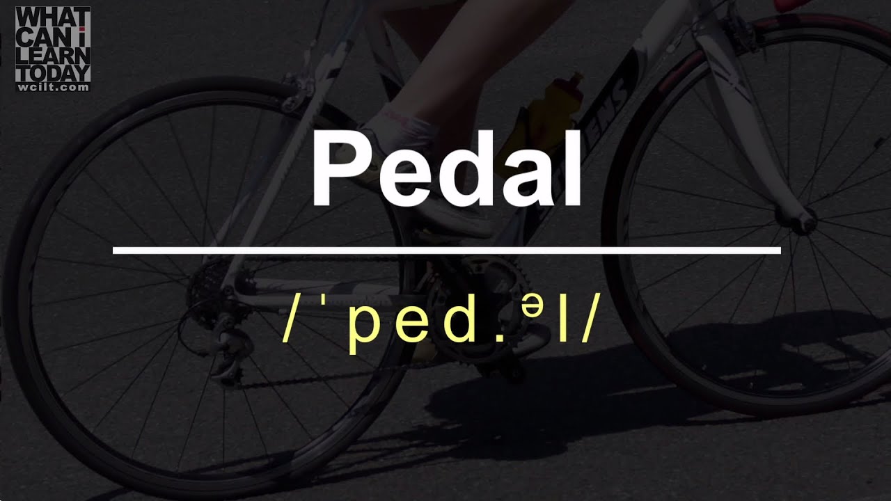 How to pronounce the word "Pedal" - YouTube