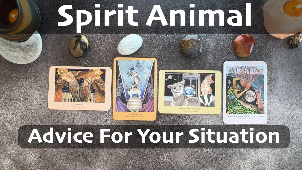 Spirit Animal Guidance for Your Current Situation - Tarot Pick a Card ...
