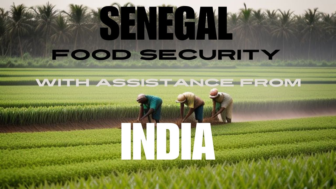 Senegal Food Security: With India's Assistance #indiaafrica # ...