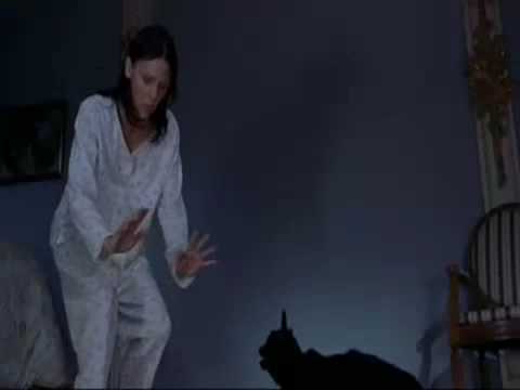 Scary Movie Escena Gato Furioso - YouTube