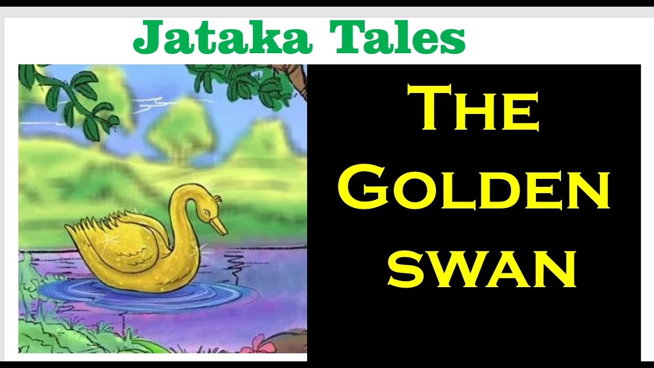 Jataka tales - The golden swan, story for kids, kids story read aloud ...