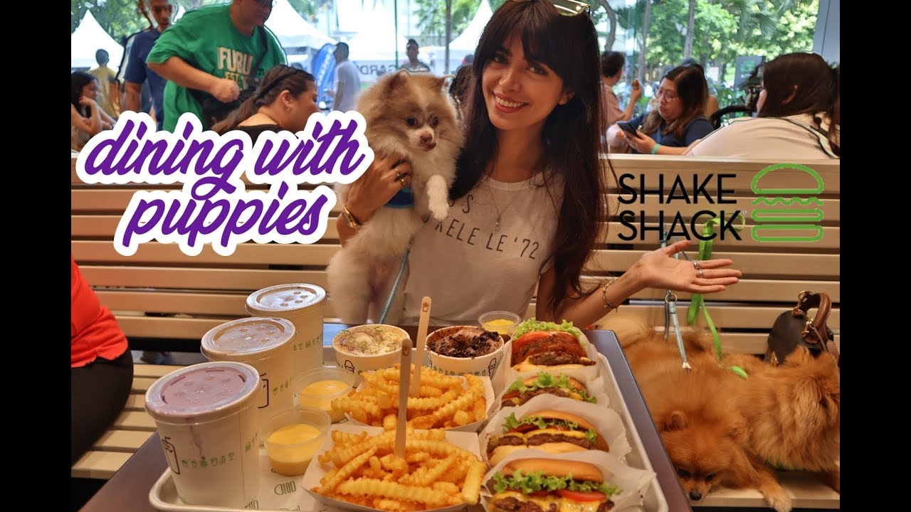 Trying Shake Shack Ph With my Puppies - YouTube