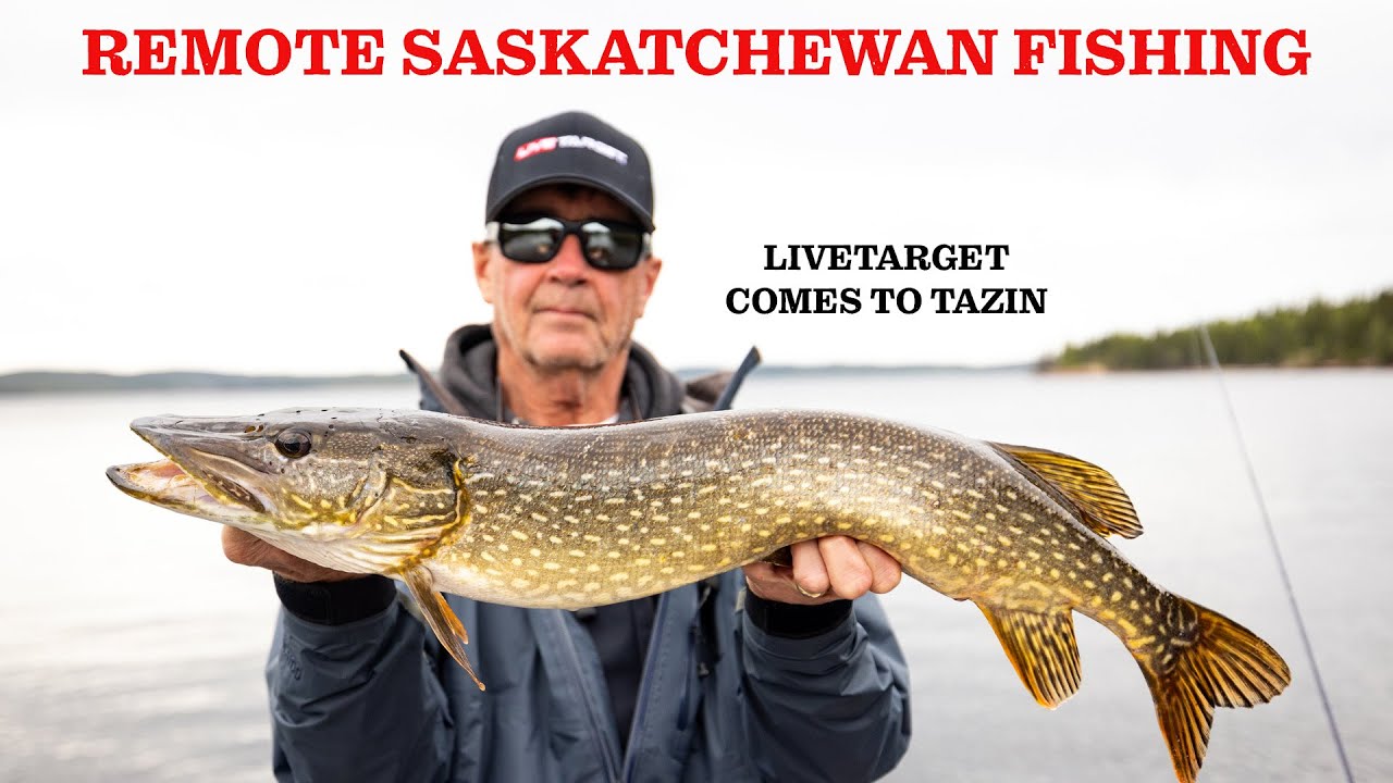 Remote Saskatchewan Fishing with LIVETARGET - YouTube