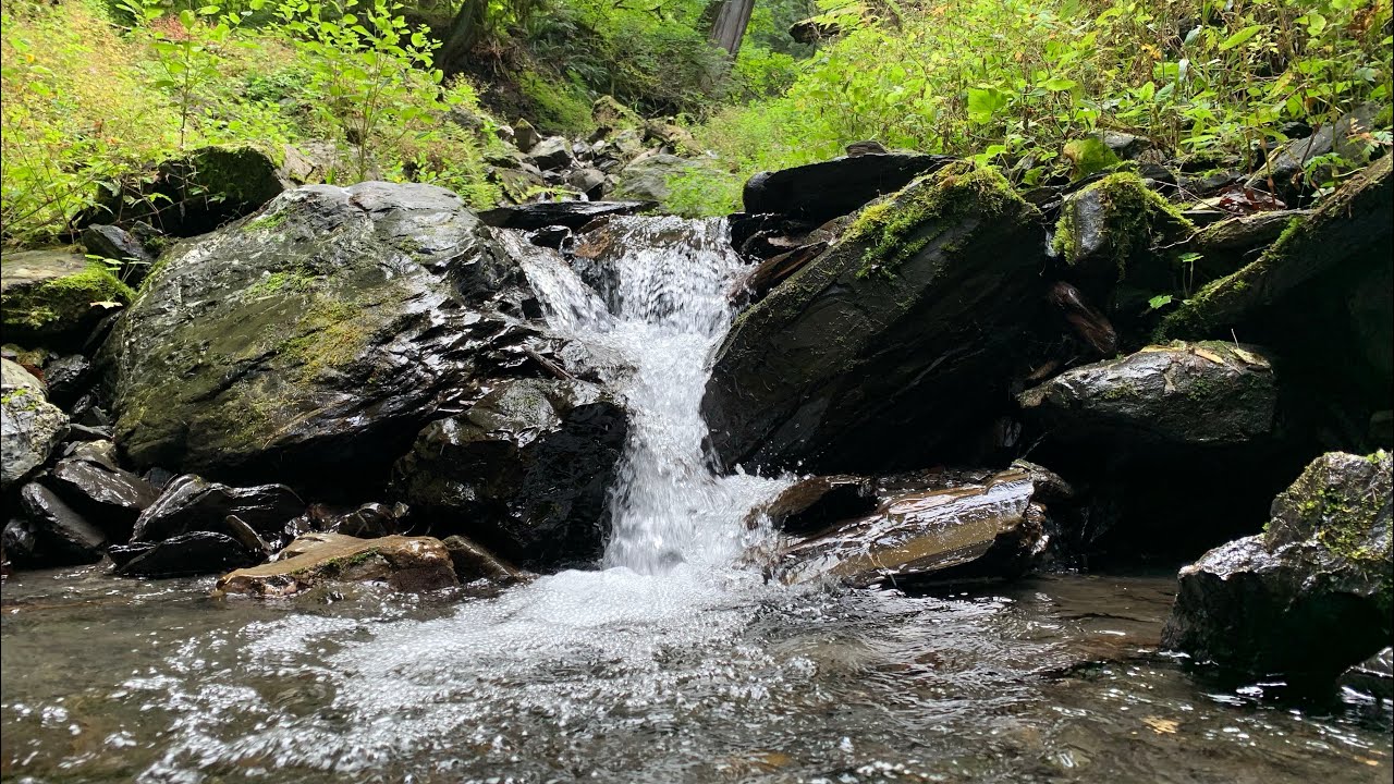 Beautiful Mountain Stream With Tranquil Water Sounds - YouTube