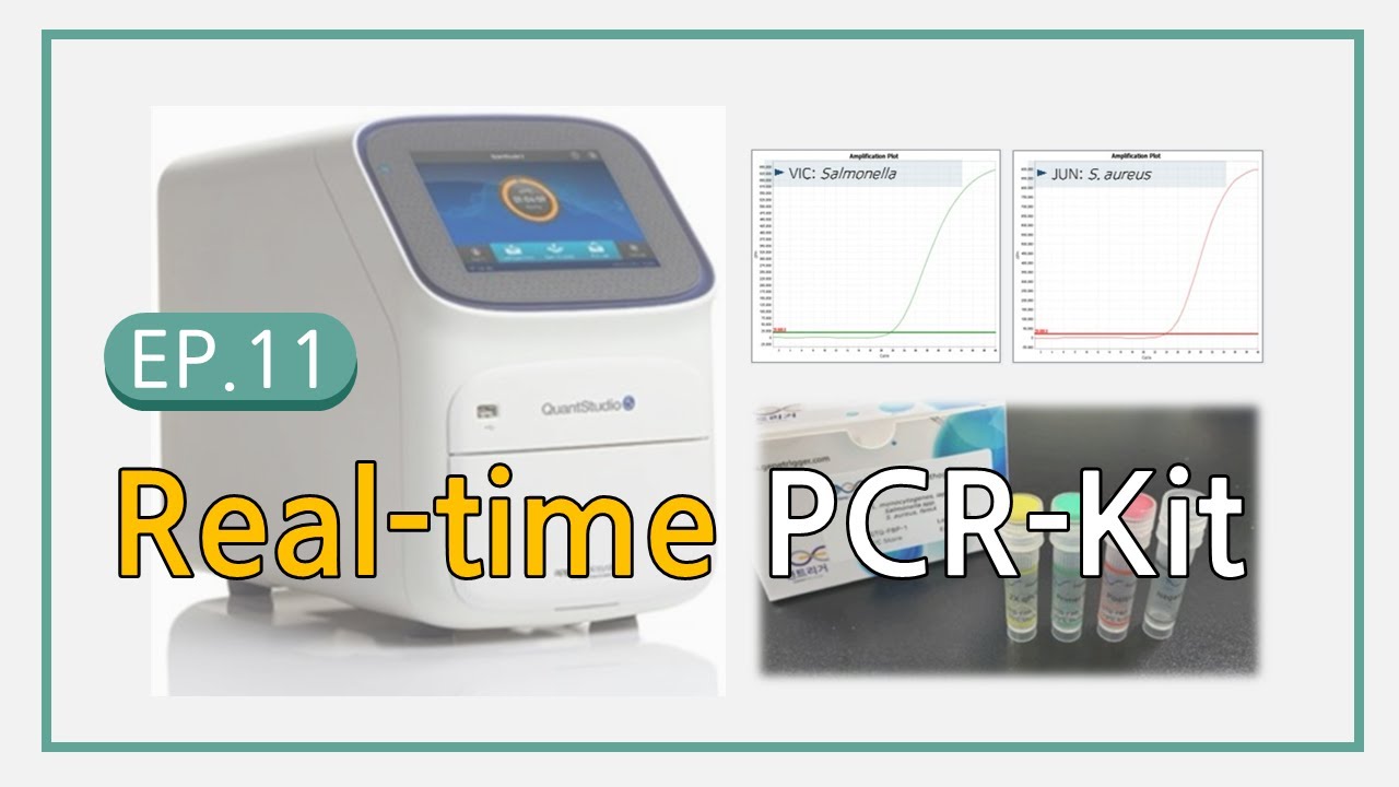 Real-time PCR Kit - YouTube