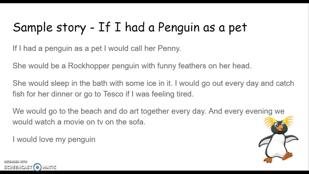 If I had a Penguin as a Pet - YouTube