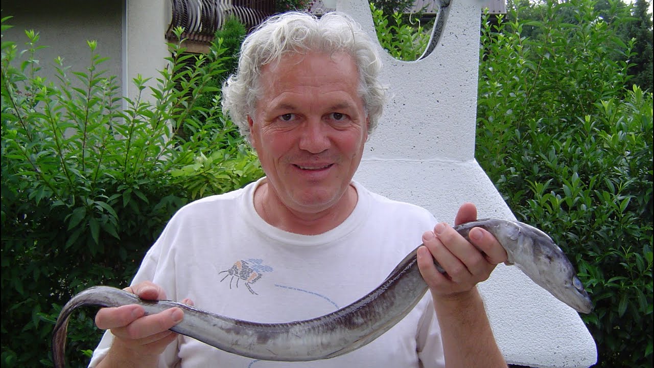 Asian dreams - Mike Mendel, lead guitar cover by Bojan J. Trontelj ...