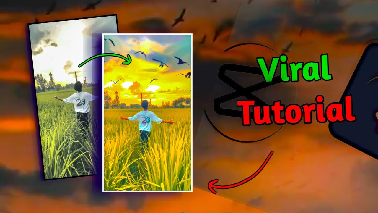 New trending Birds Flying Video Totorial | birds flying Fideo Editing ...
