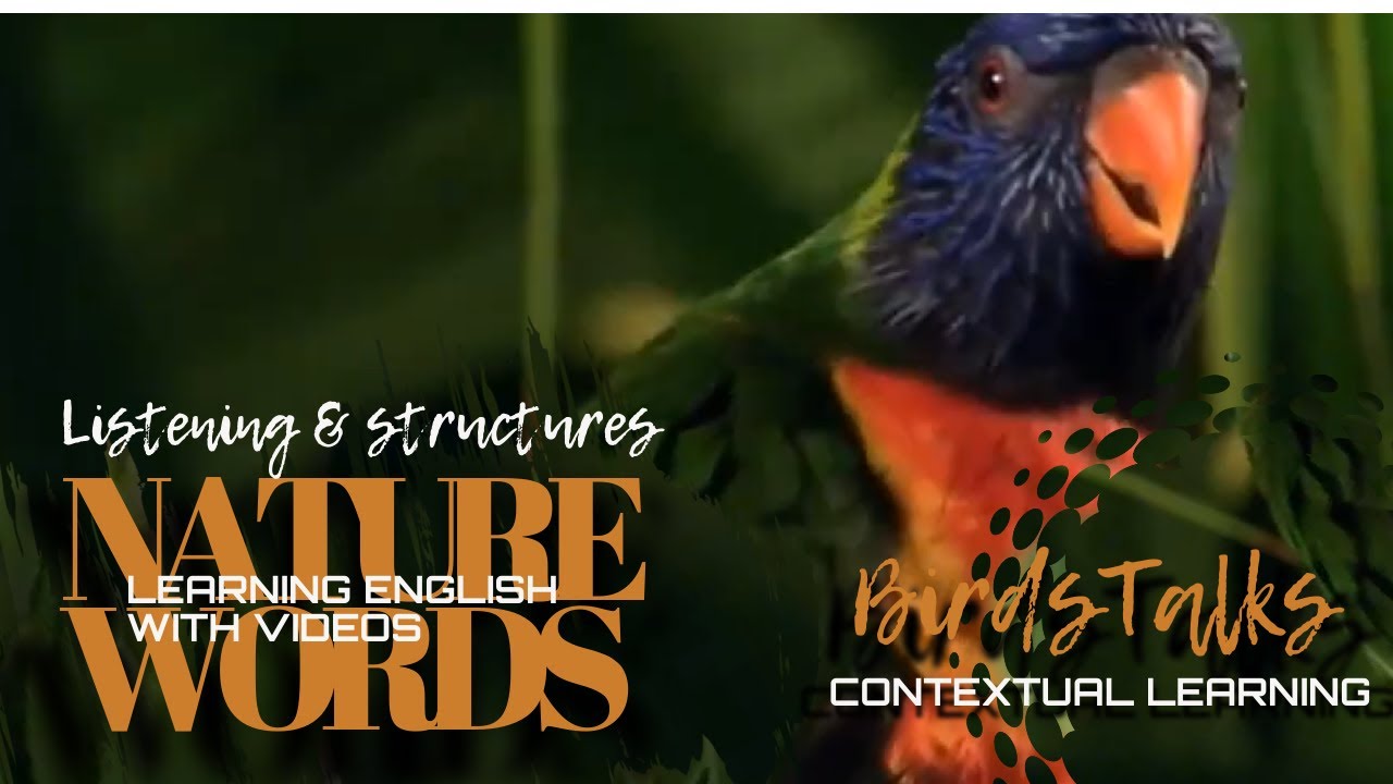 WORDS in NATURE: Belajar Bahasa Inggris Bersama Alam - YouTube