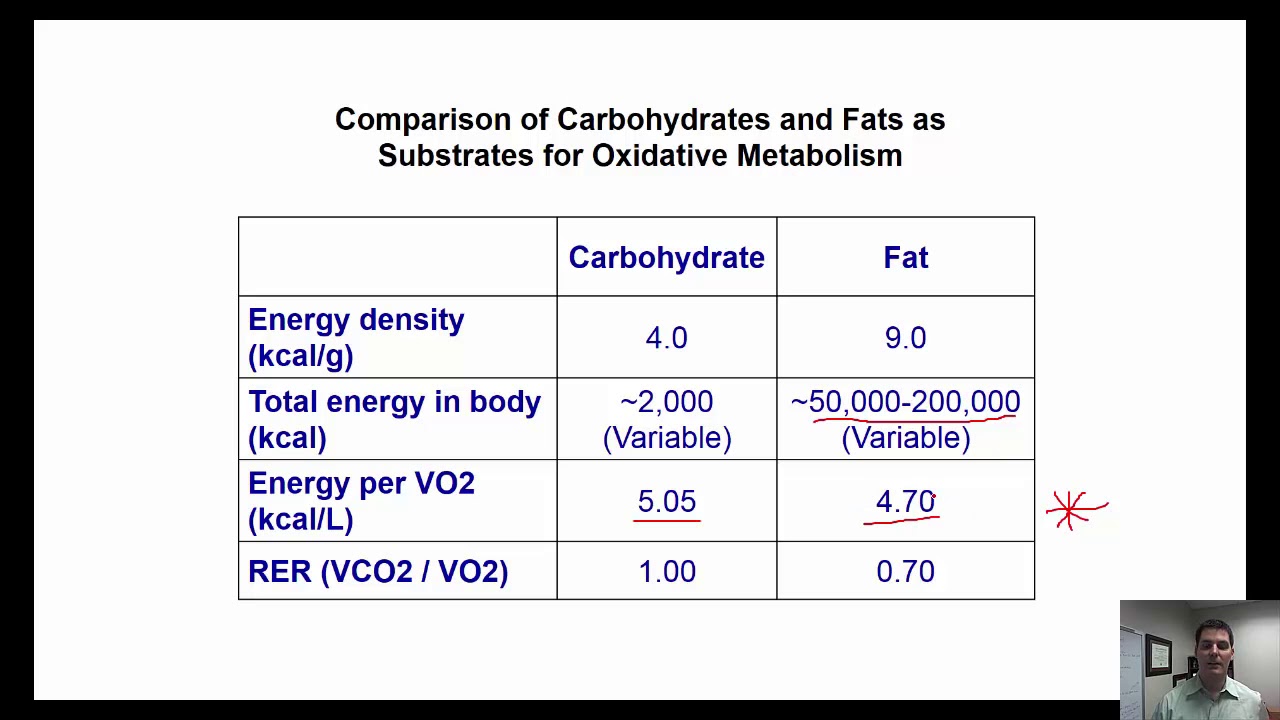 RER introduction - YouTube