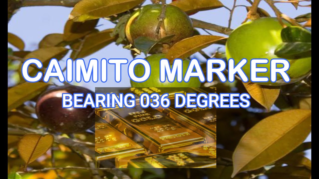 YAMASHITA TREASURE | KAIMITO MARKER | CENTURY KAIMITO TREE AS MARKER ...