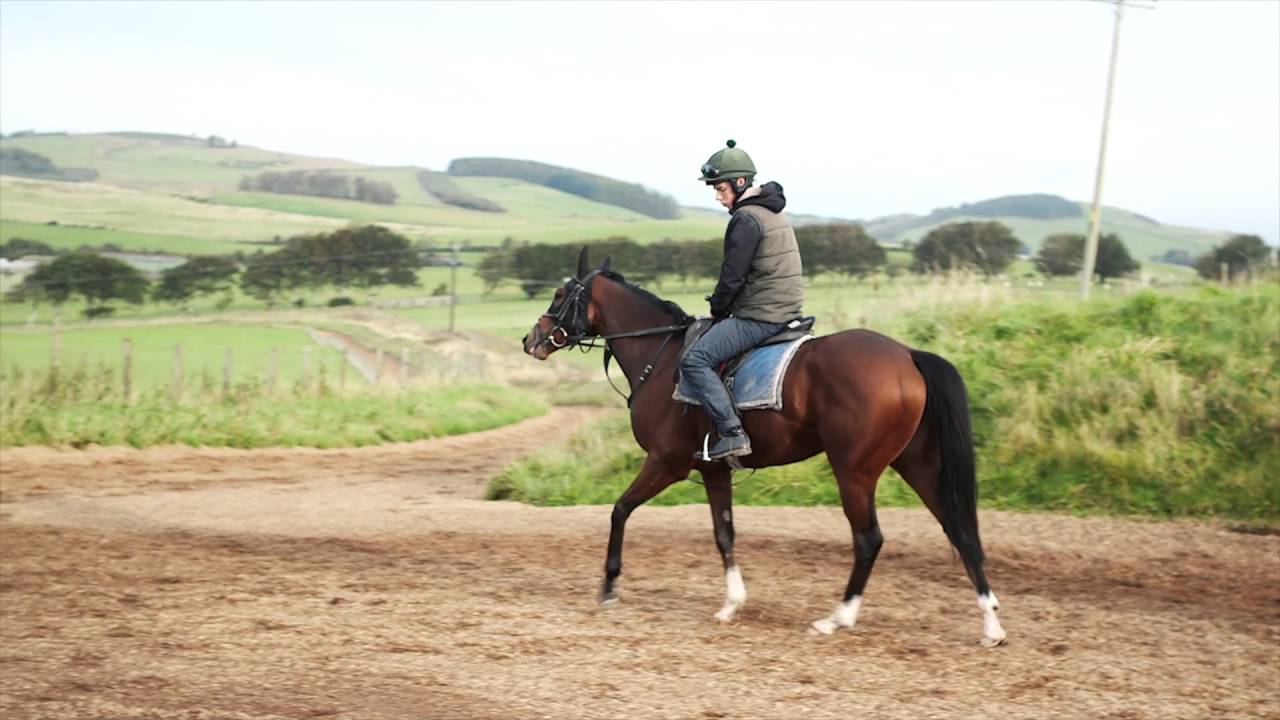 Iain Jardine Stable Visit - Exclusive Footage - YouTube