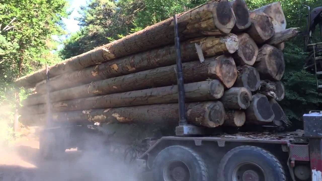 Grumier iveco - YouTube