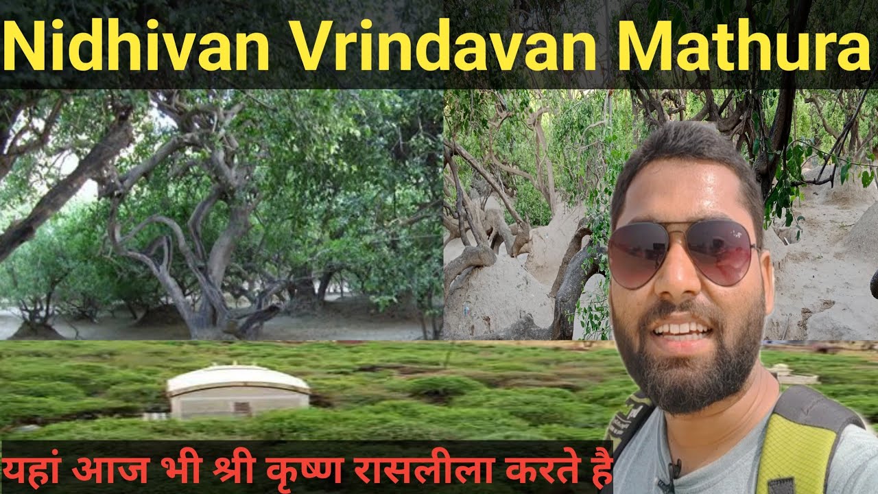 Nidhivan Vrindavan Mathura । Nidhivan ka Rahashy। Mathura virindavan ...