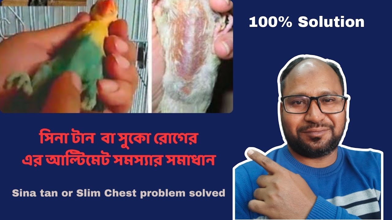 The Ultimate Guide to Solving the Sinatan or Slim Chest Problem.100% Solution - YouTube