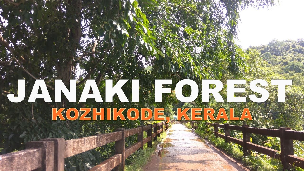 Janaki forest (Janaki kadu) || Place to visit in Kozhikode, Kerala ...