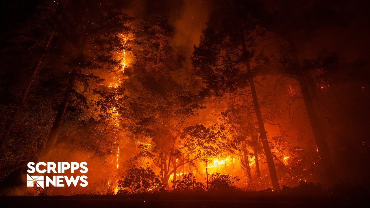 Park Fire scorches 380,000+ acres, becomes California's 5th largest ...