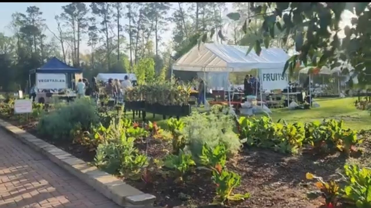 Mercer plant sale and spring garden clean up! - YouTube