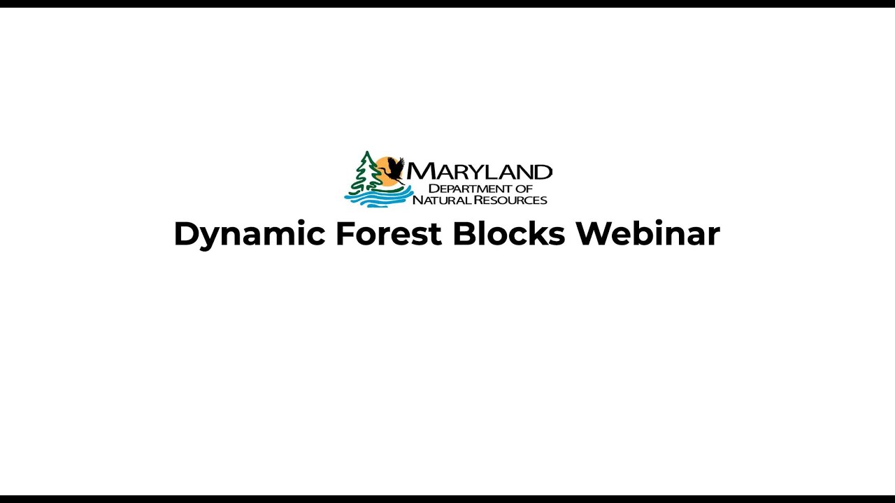 Dynamic Forest Blocks Webinar - YouTube