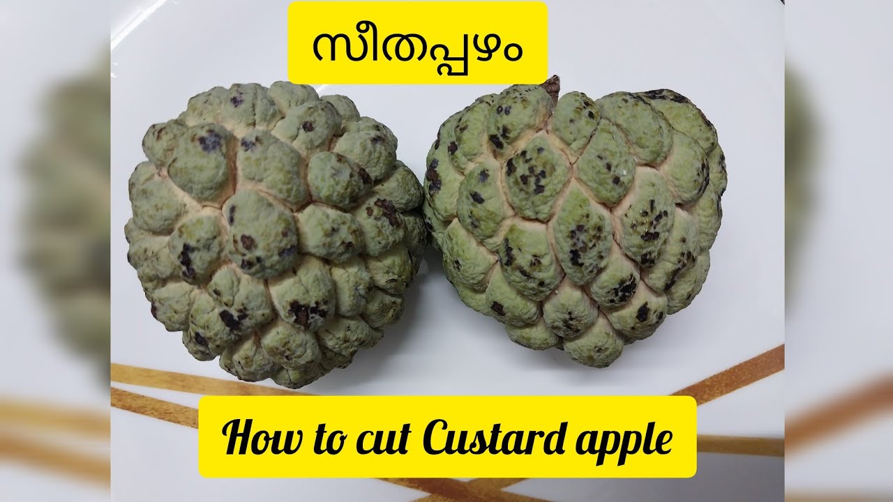 how to cut custard apple | seethapazham | seethaphal | സീതപ്പഴം - YouTube