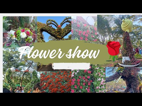 Flower show in Chennai 😍|| Semmozhi Poonga location in Chennai - YouTube