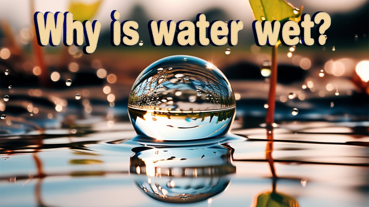 Why Is Water Wet? - YouTube