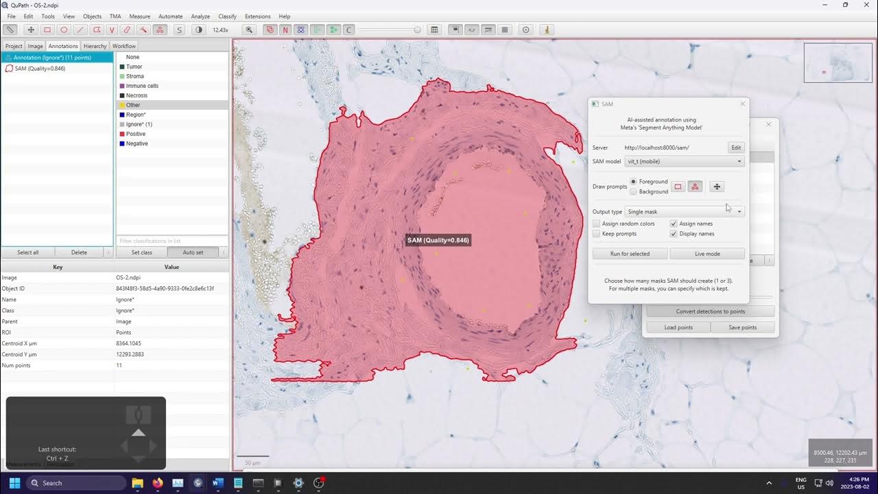 Meta's Segment Anything Model in QuPath (v0.3 update) - YouTube