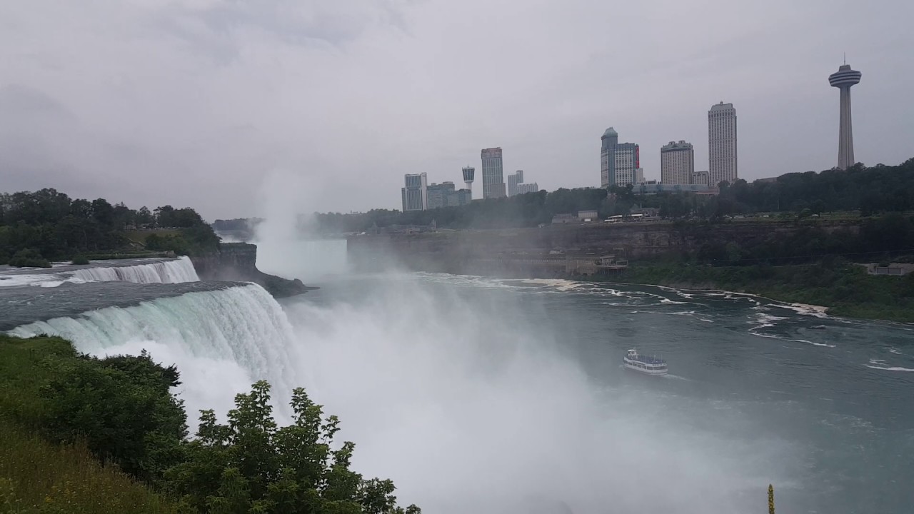 @josephjohnmartelli Joseph John Martelli #josephjohnmartelli # ...