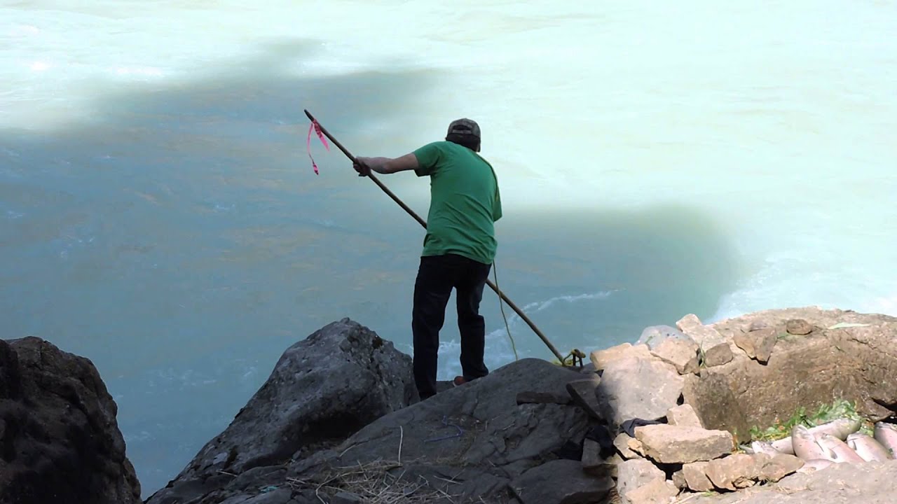 George dipping at Siwash Bridge on the Chilcotin River - YouTube