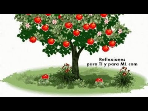 El árbol de manzanas reflexion - YouTube