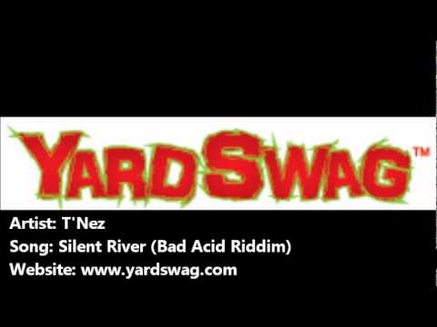 T'Nez Silent River Bad Acid Riddim - YouTube