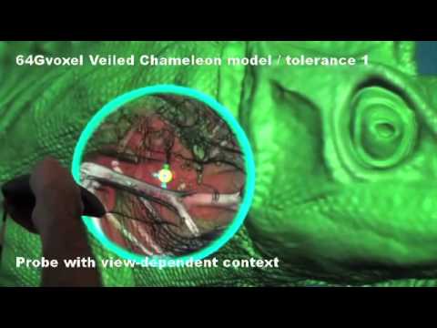 View-dependent Exploration of Massive Volumetric Models on Large Scale ...