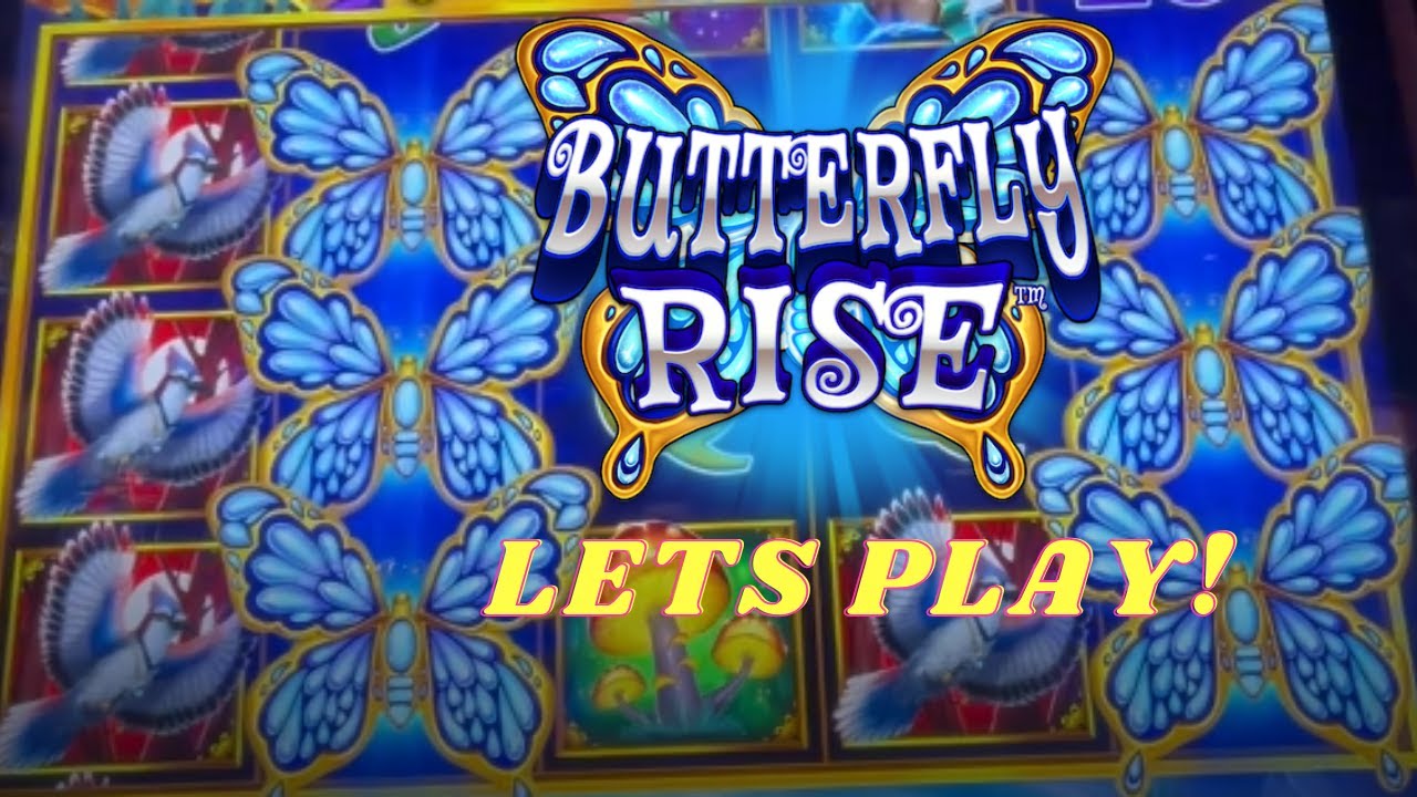 HAVING SOME FUN ON BUTTERFLY RISE! - YouTube