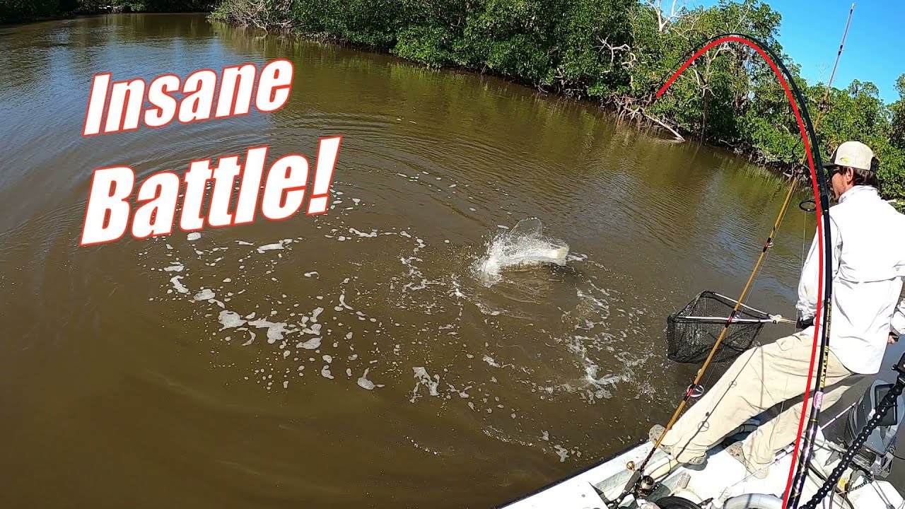 Fishing For Monster Snook In 10,000 Islands! - YouTube