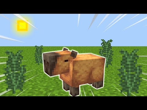 ADDON CARPINCHOS PARA MINECRAFT 1.19.21! - YouTube