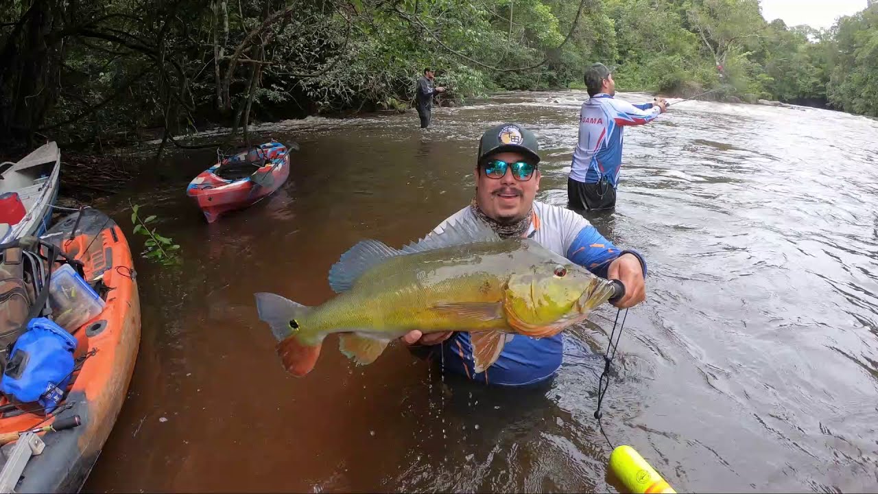 TODA PESCARIA PRECISA DE UM PLANO B - Pescaria #Caiman100 - YouTube
