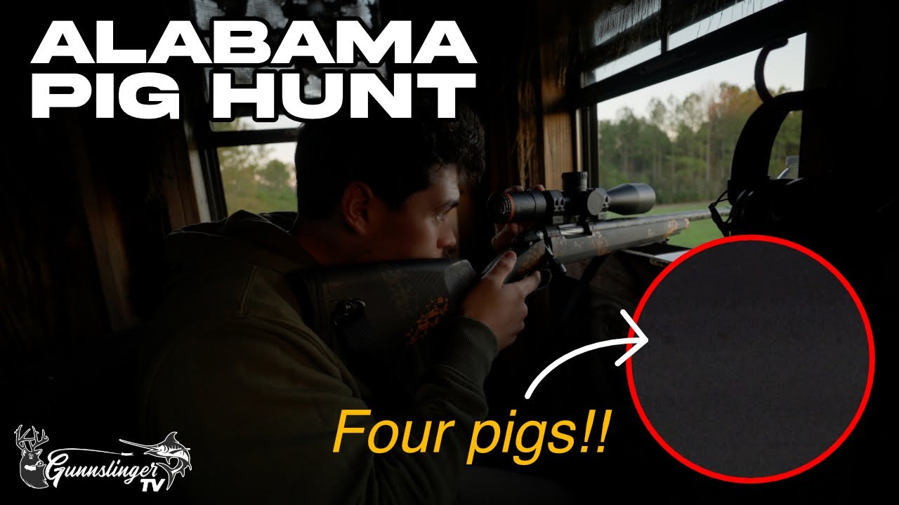 "Wild Pig Hunt at the Alabama Farm | GunnslingerTV" - YouTube