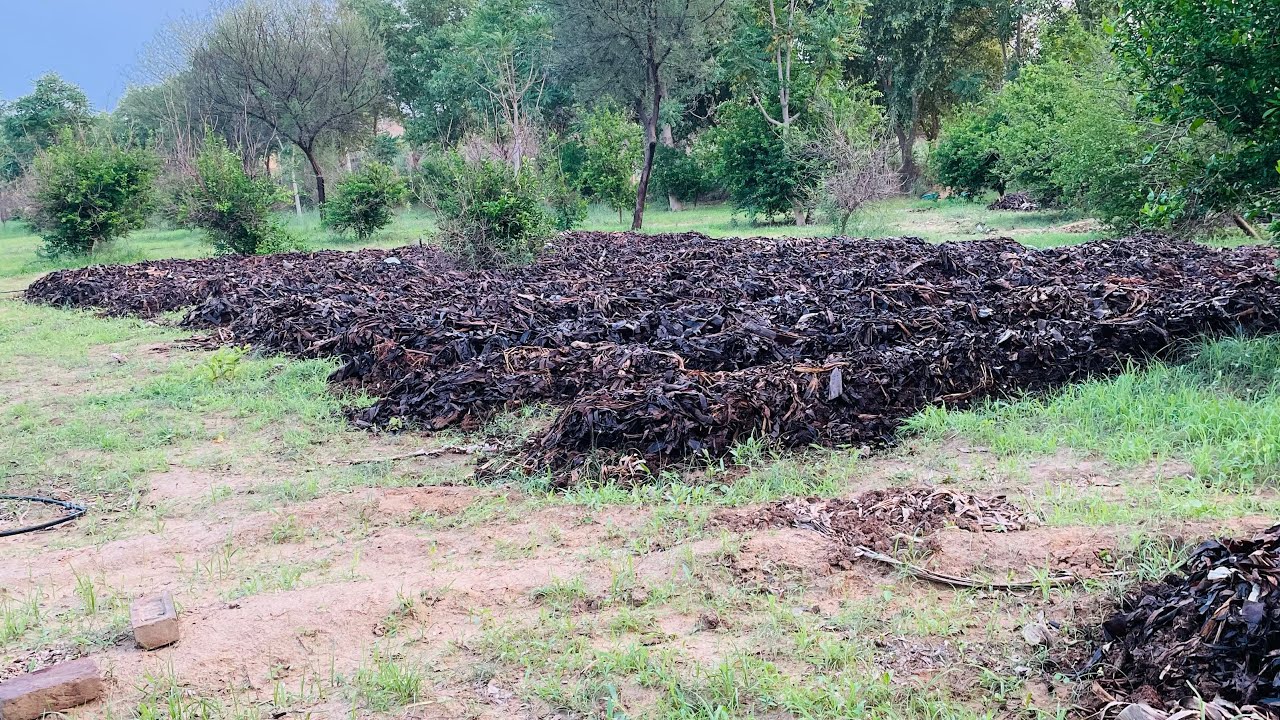 Vermicompost bed pr panja kaisy lagy # rsm organics # save soil ...