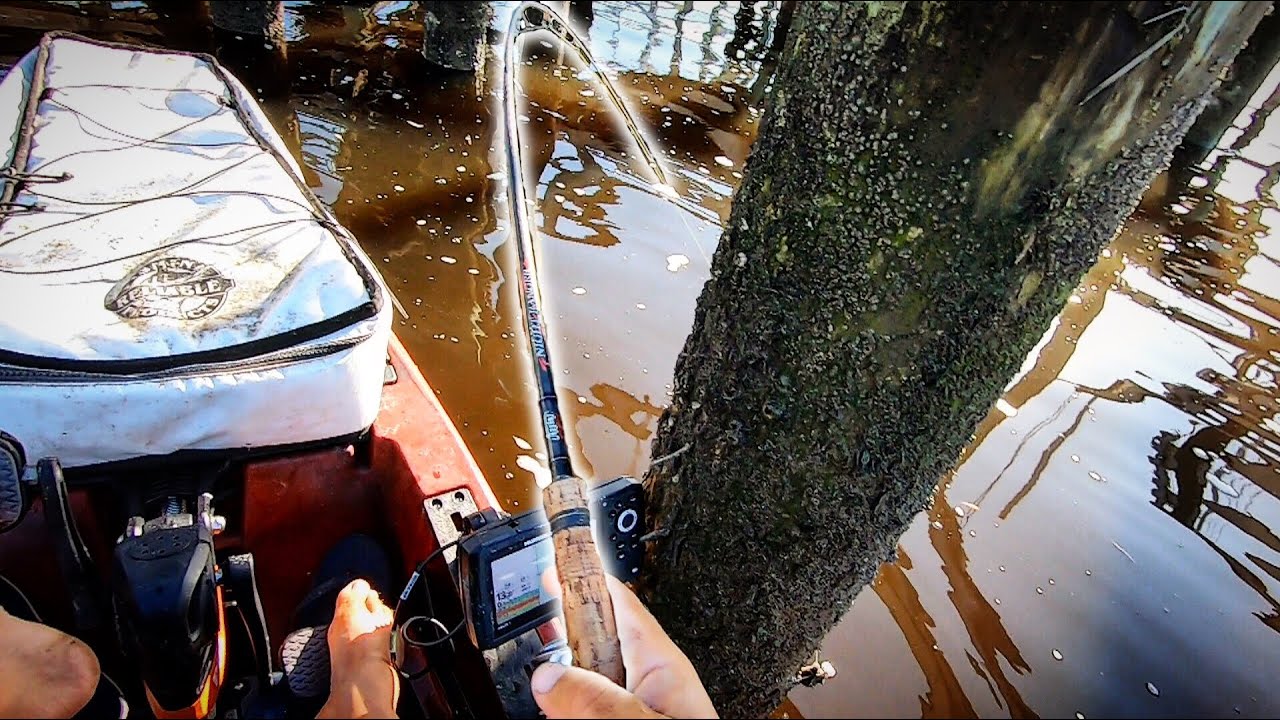 Catching Dinner Fish Under Docks - YouTube