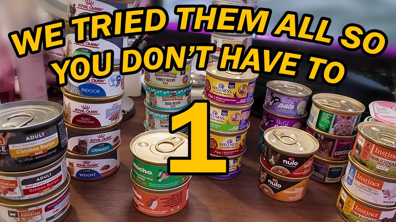 My Cats Try All *Healthy* Cat Foods (Wet & Dry!) | Intro & Week 1 BEST ...