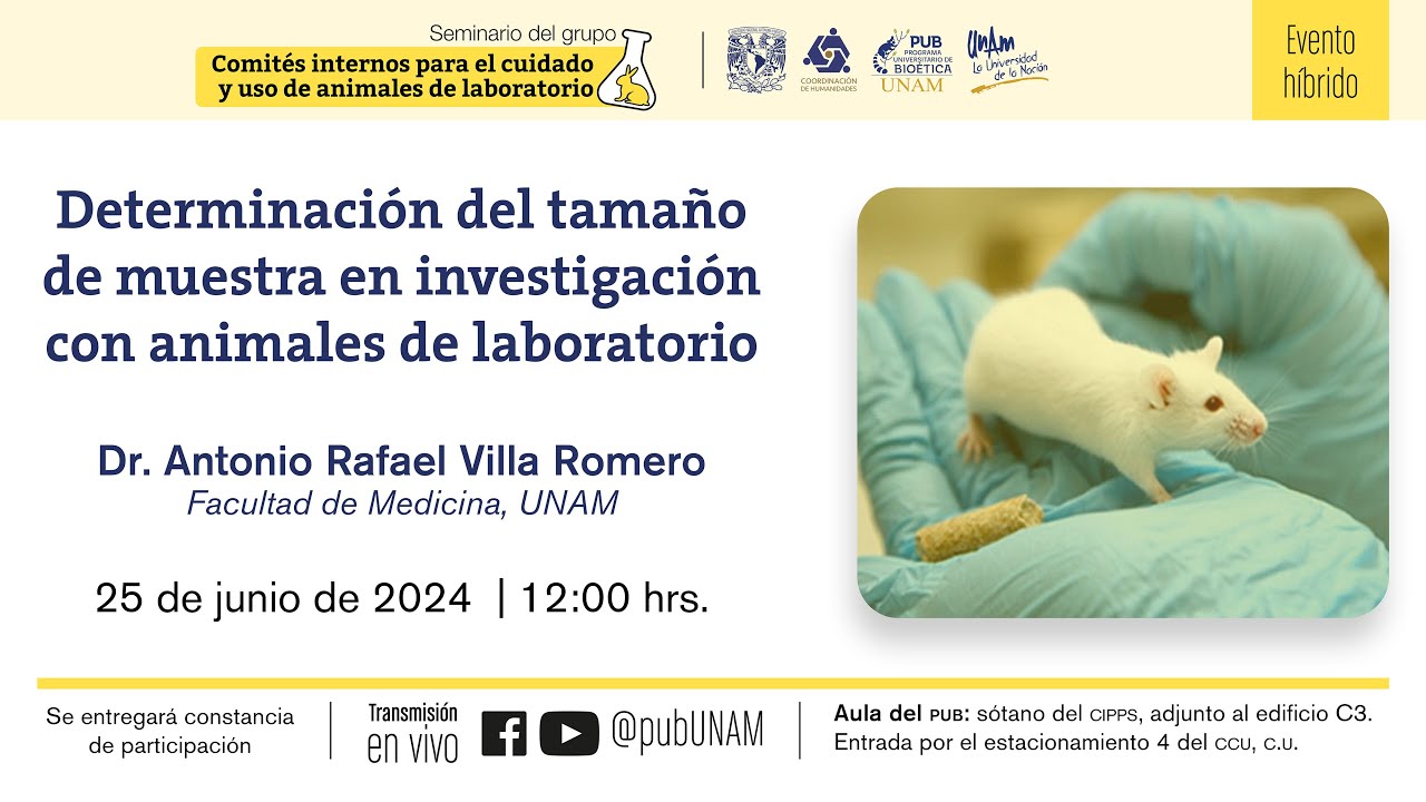 CICUALES, “Determinación del tamaño de muestra en investigación con ...