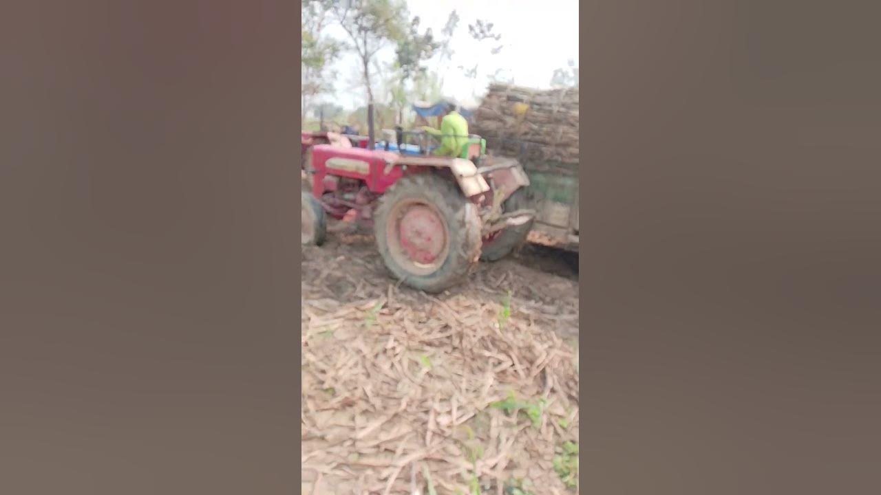 Tractor palate palate bacha #youtubeshorts #automobile #tractorlover # ...