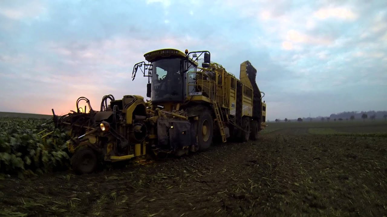 Ropa Euro Tiger V8-4 - YouTube