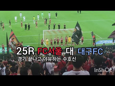 25R FC서울 대 대구 경기 직관(브이로그) 세징야 잘한다 너무.... #k리그 - YouTube