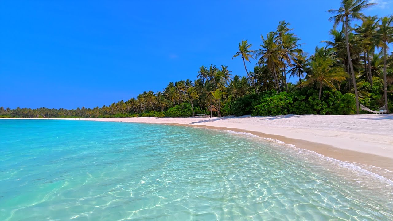 Paradise Found: Turquoise Ocean Water and Wild Beach! Maldives 4K ULTRA ...