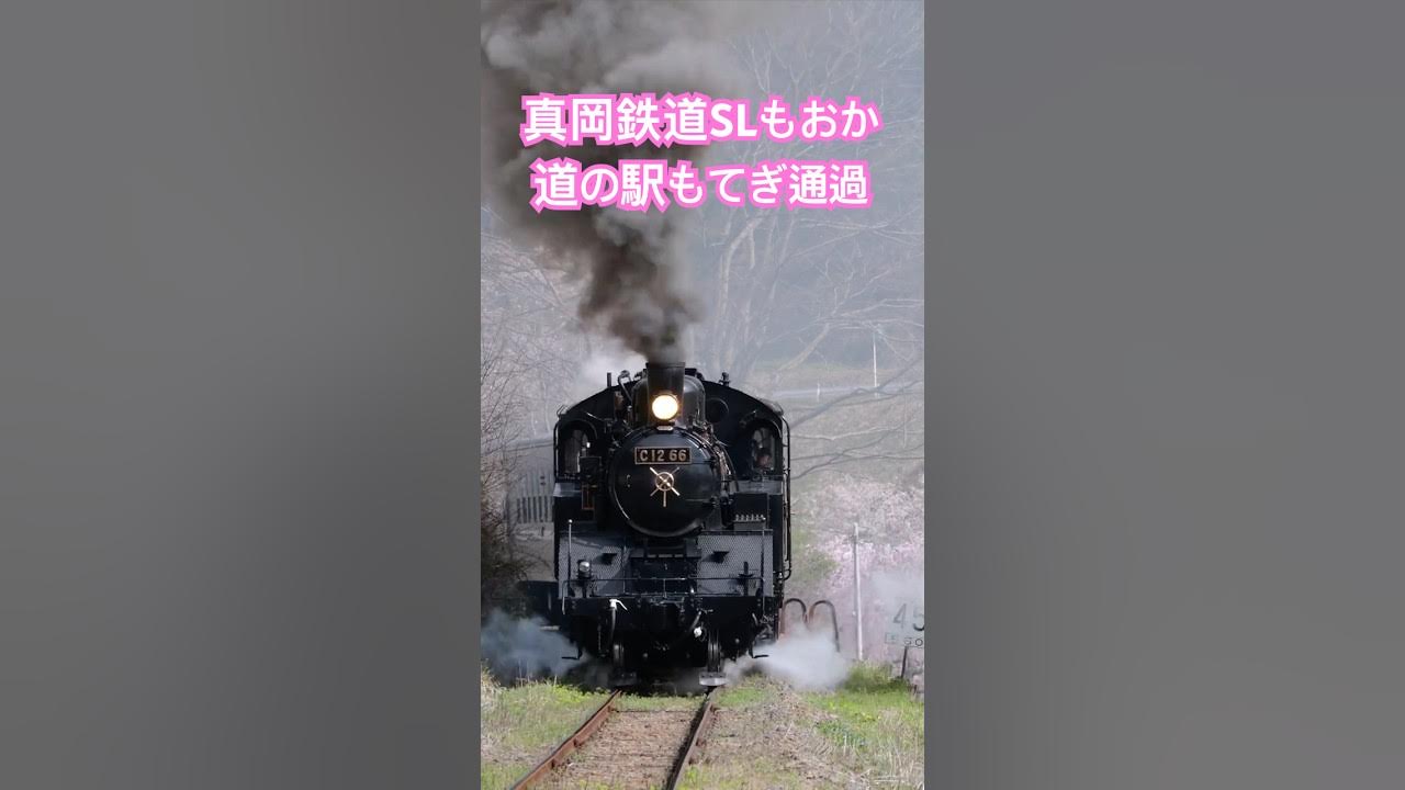 4Kshorts「SLもおか」2024🌸道の駅もてぎ通過！ [Moka railway] Steam locomotive class C12 'SL Moka' in spring 2024 ...