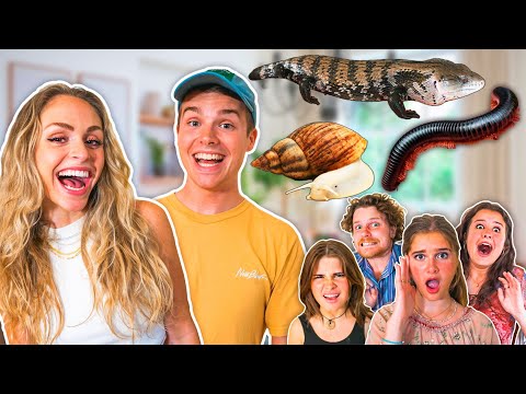 PRANKER MIKAS FAMILIE MED KLAMME DYR! (What's In The Box)